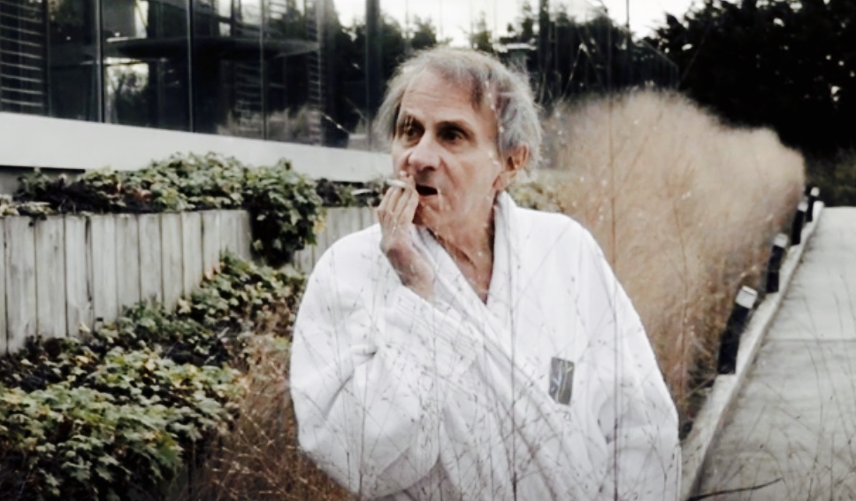 El panfleto ahuevado de Houellebecq – REVISTA LOS CÍNICOS