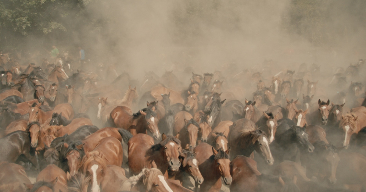 FICG 40 anunció las películas del Premio de Cine Socioambiental ...